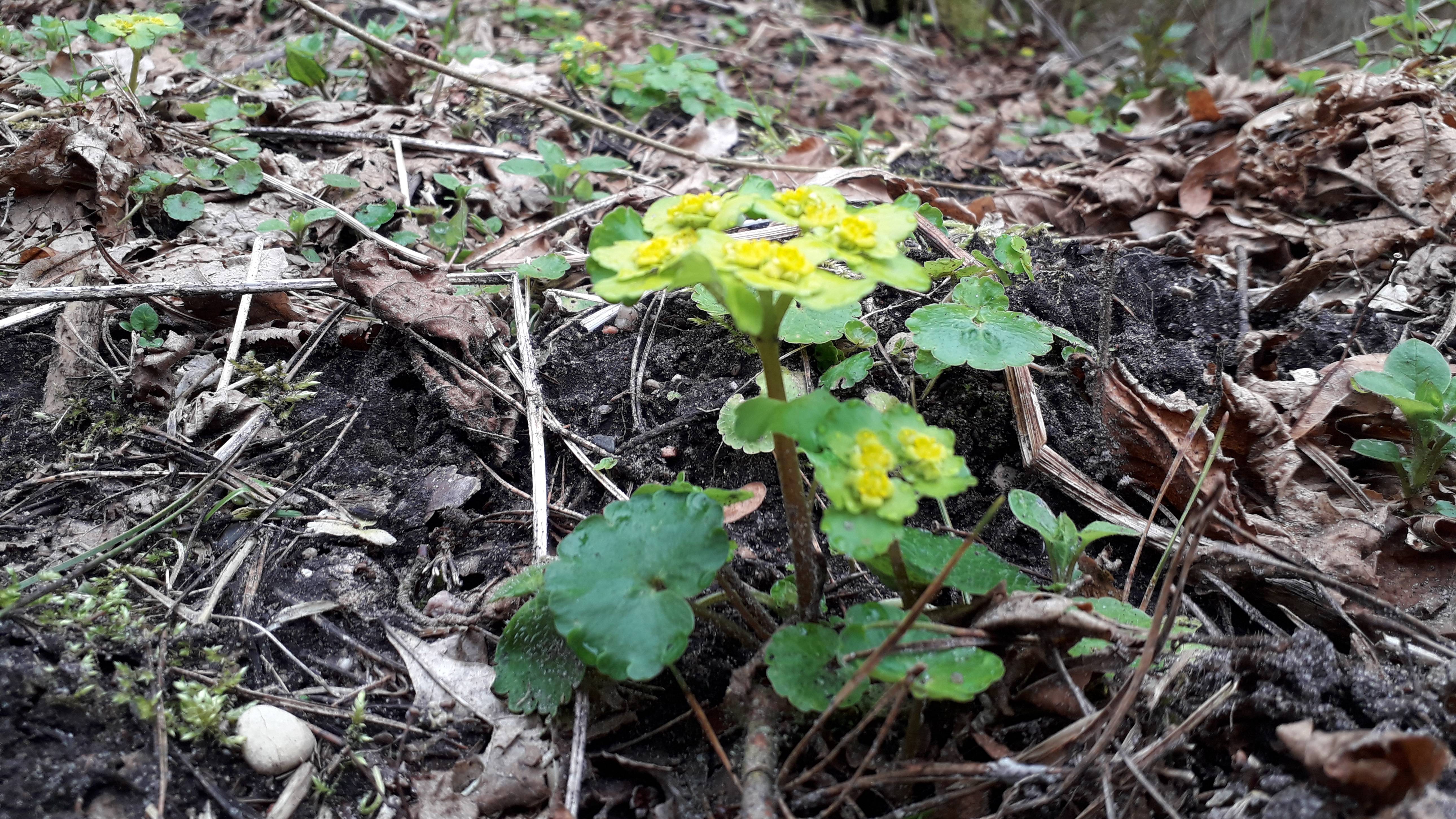 Автор канала о жизни...