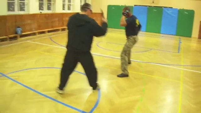 ПЕРЕДВИЖЕНИЕ ЗМЕЙКОЙ