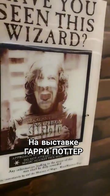 Выставка Вселенная Гарри Поттера #гаррипоттер #garrypotter
