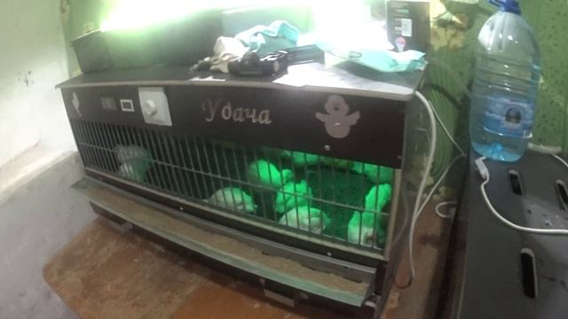 Воскресенье , начинается новая неделя