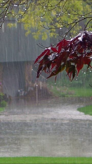 Шум Сильного Дождя. Звук Дождя