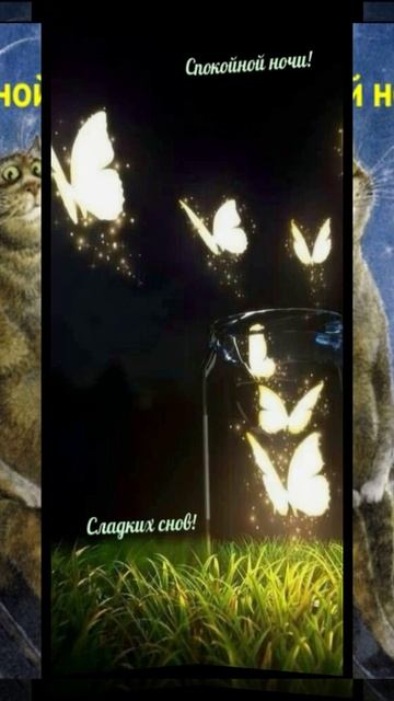 Спокойной ночи, сладких снов!