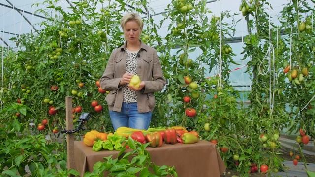 ВЫБИРАЕМ И СЕЕМ ПЕРЦЫ