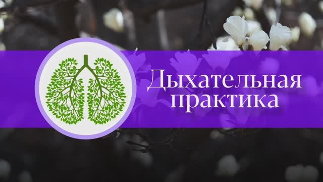 Дыхательная практика по методу Бутейко с задержкой дыхания 6 секунд