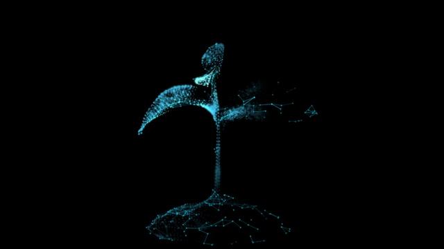 3д рендеринг и разработка