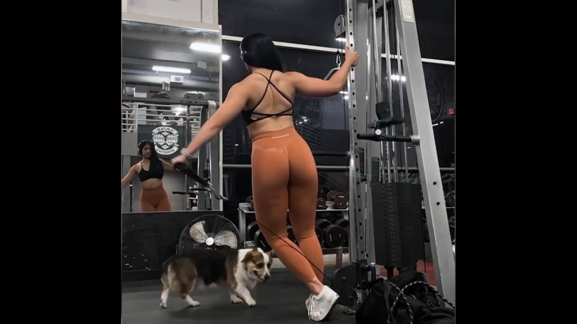 мотивация,спорт,музыка,Workout,ФИТОНЯШКИ 2025 (59)..