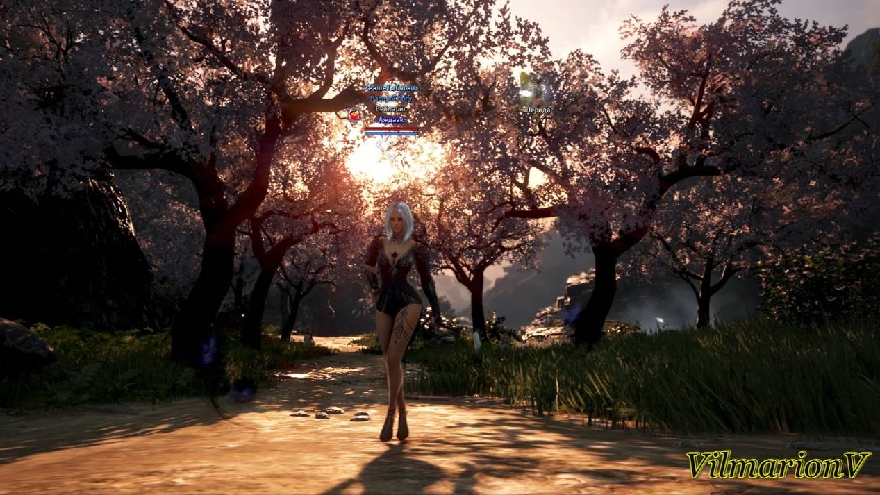 BDO - Прикол с конём Иллюзией Дайна (Единорог)