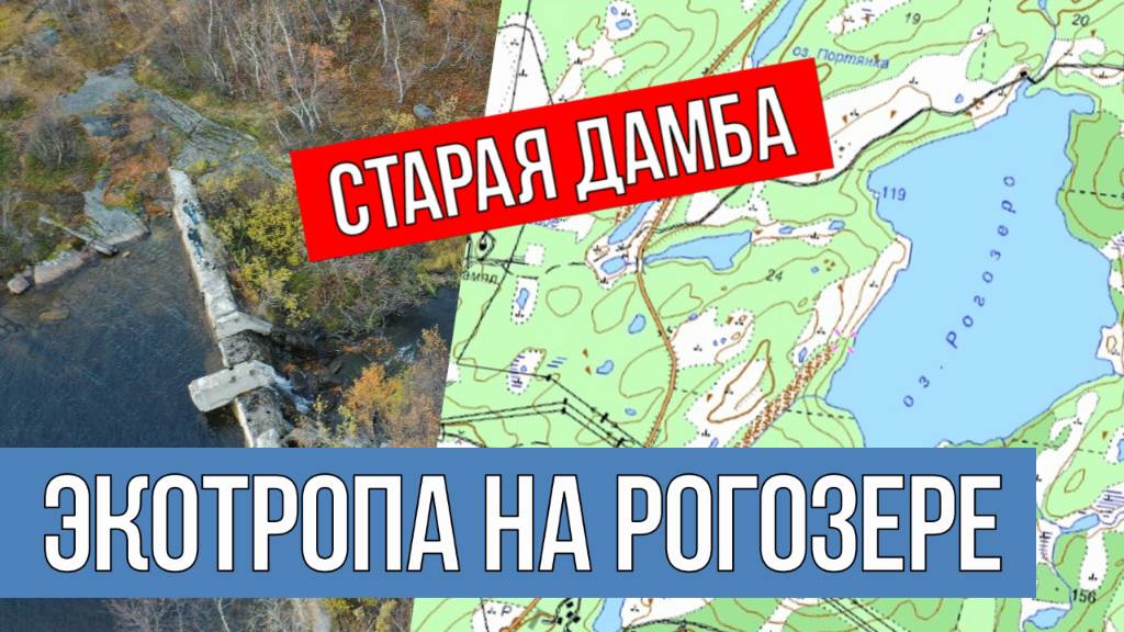 Экологическая тропа на Рогозере (часть 2)