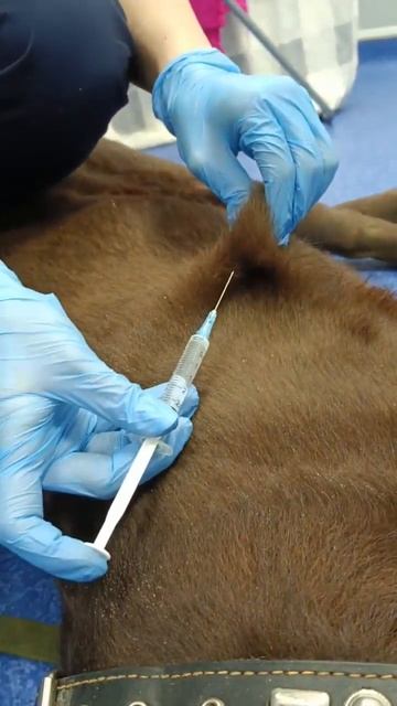 Техника ЛЕЧЕНИЯ