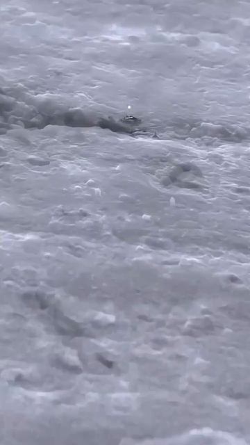 🖤 28.01.25 в 19:00 ждём тебя в Пряном Кролике!