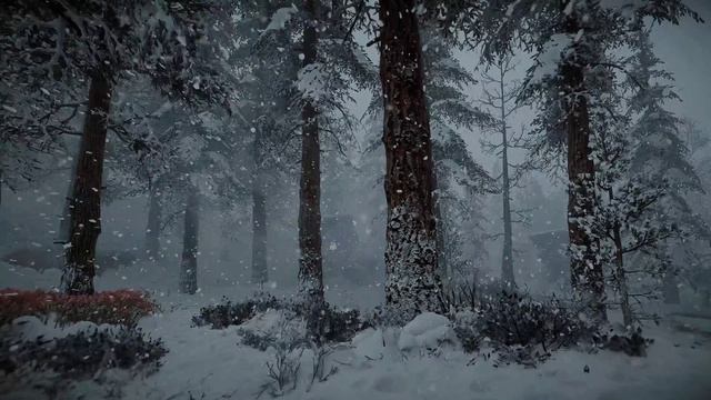 Невероятные звуки, помогающие избавиться от бессонницы и стресса