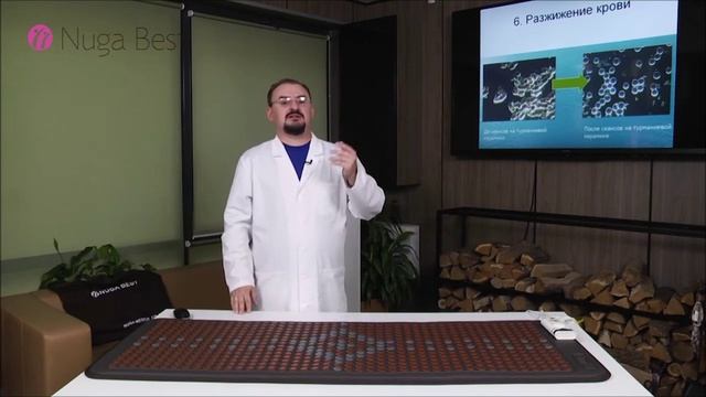 Назначение магнитного поля Мата Т11 Нуга Бест Голод В.М.