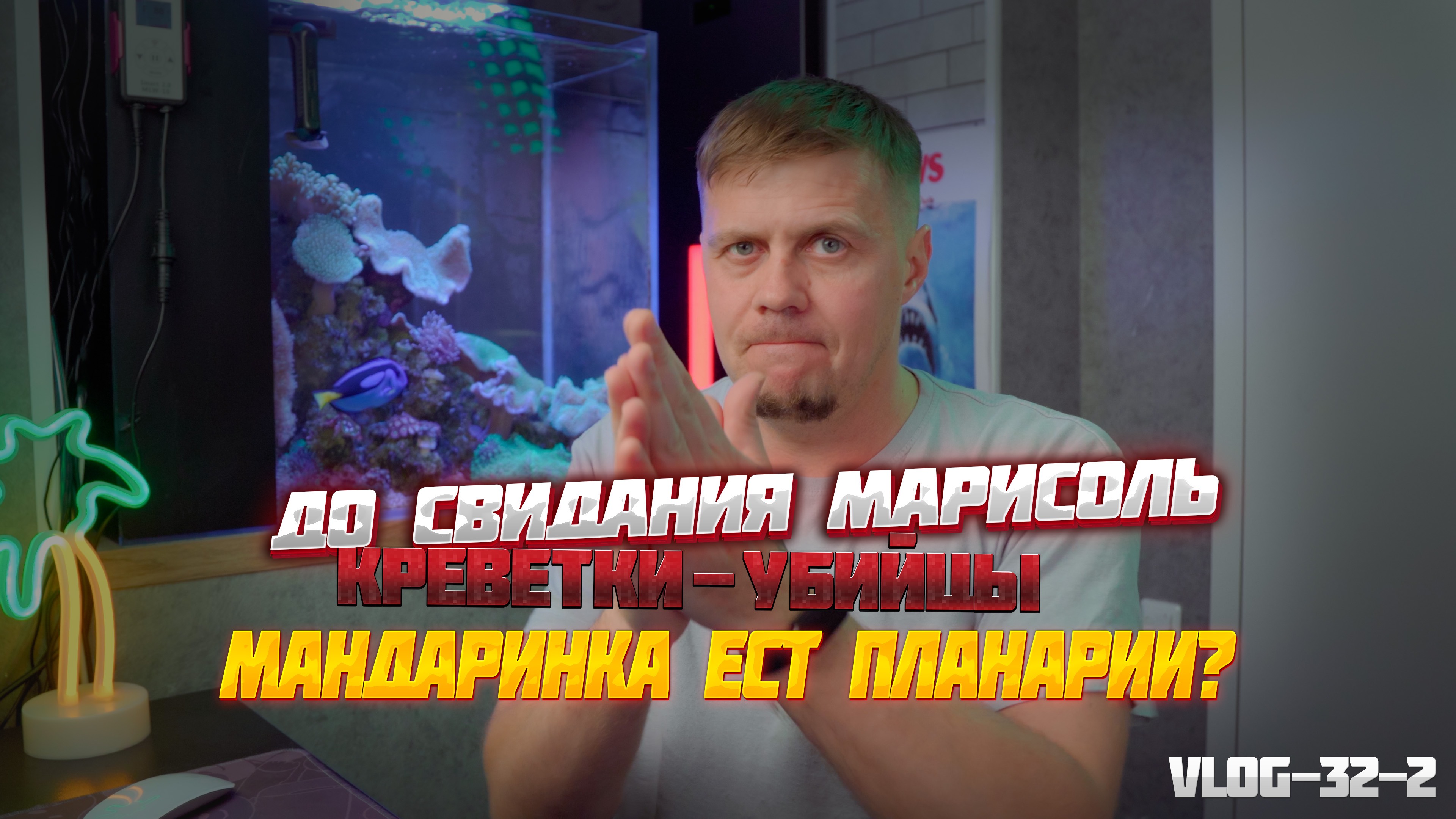 VLOG-33-2 (До свидания МАРИСОЛЬ , Креветки убийцы , Мандаринка ест планарии ?)