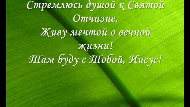 Боже, стою пред Тобой на коленях