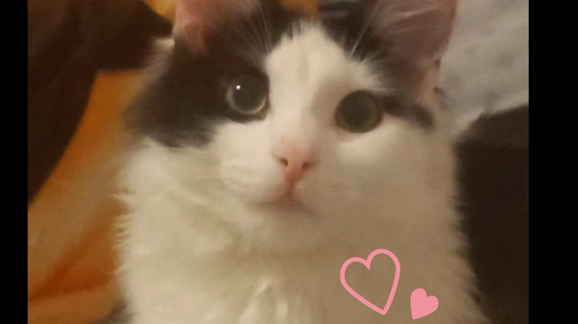 Эти глаза напротив