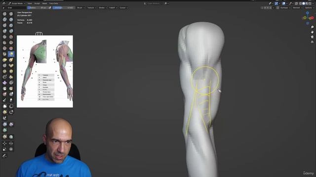 2. Рассказываем о формах и основных мышцах руки.
