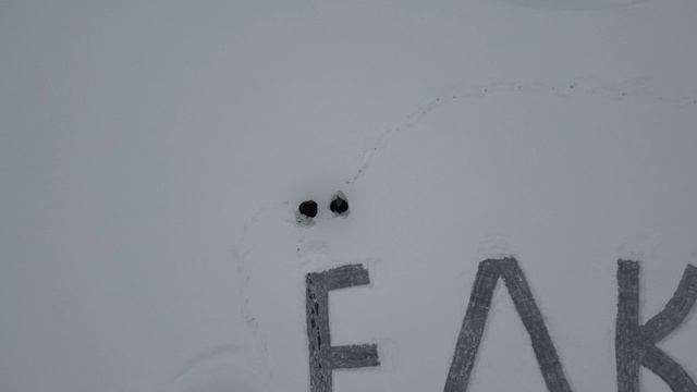 Почему Ёлки? Ёлки на озере