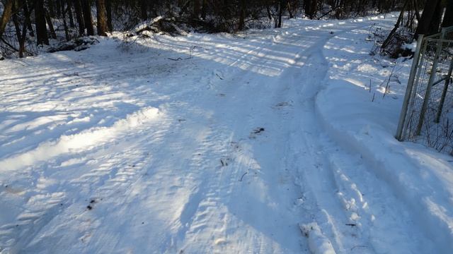 Кто и как проводит свободное время ?