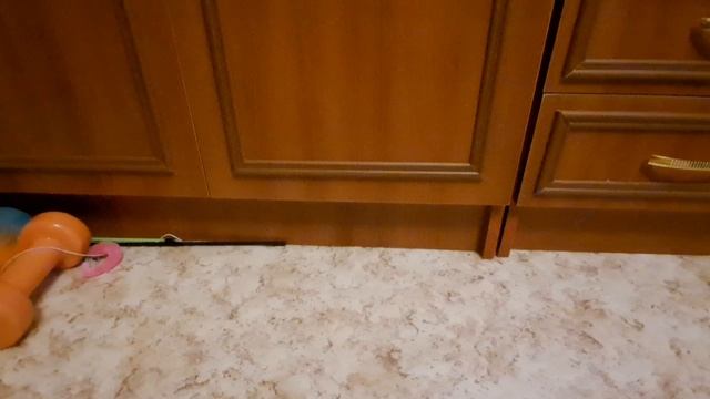 Уход на Январь 2025