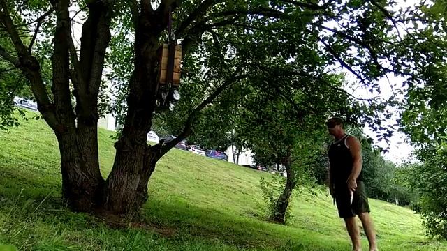 С закрытыми глазами лев