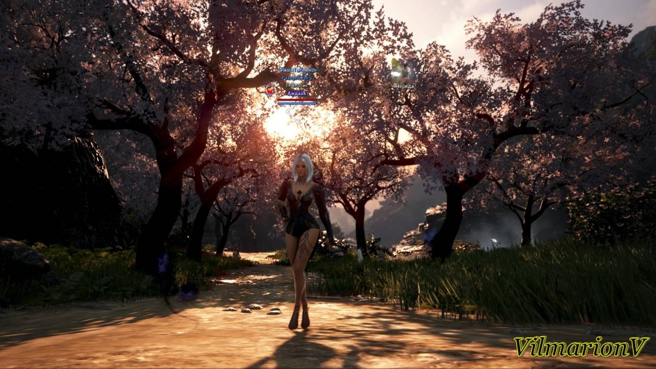 Black Desert квест История Нубэра