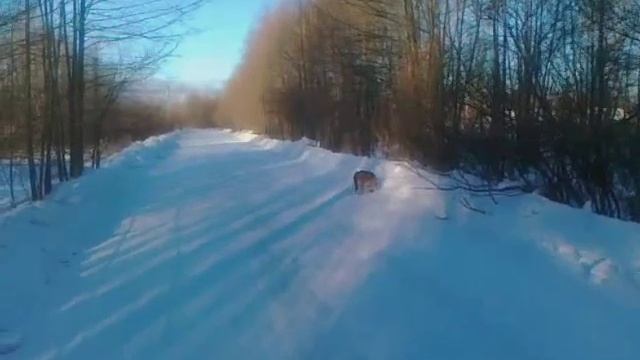 2017 Зимний день в Ильичево.mp4