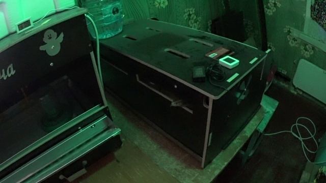 Посадил чеснок 30 декабря, будь что будет.