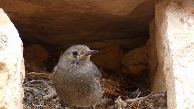 11922919_3840_2160_24fps