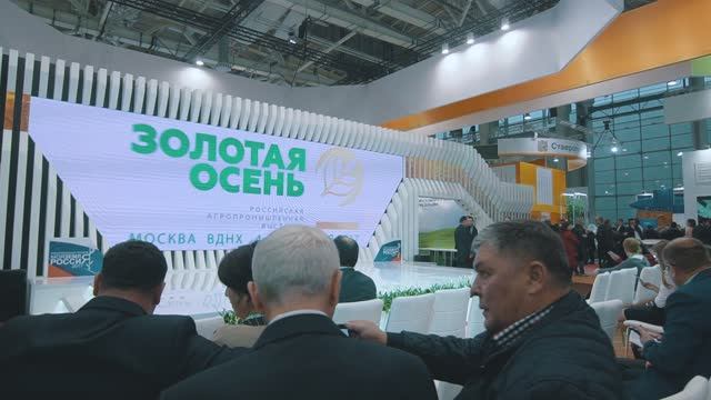Золотая осень-2017