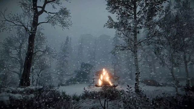 Вьюга ASMR сильный зимний шторм со снегом в зимнем лесу