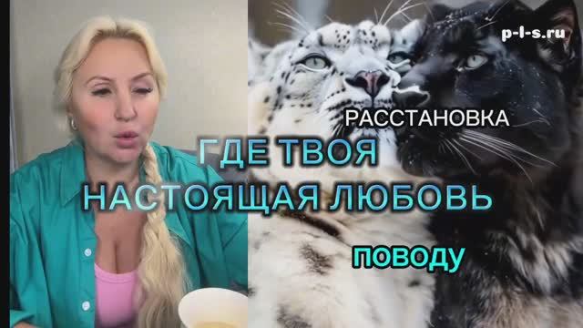 Где твоя настоящая любовь? Расстановочный семинар