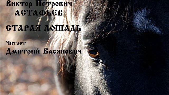 В. П. Астафьев.  Старая лошадь.  Читает Дмитрий Васянович