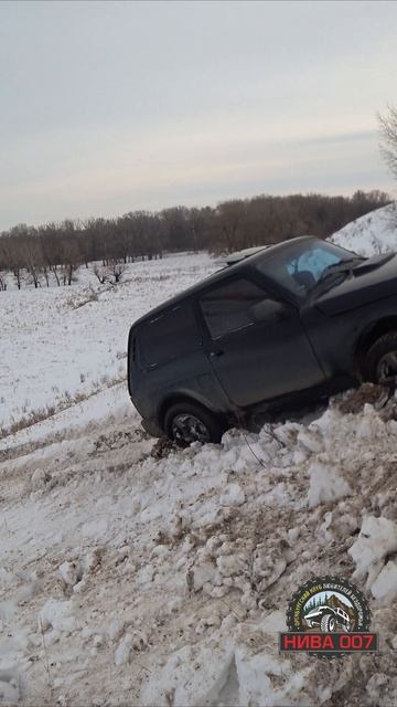 Нива против снежной горы..