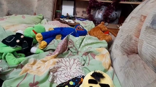 Игварь №8 новый кот