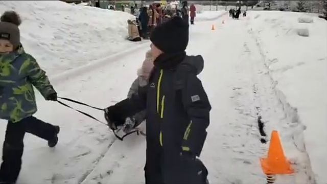 Олимпийские игры - эстафета на санках