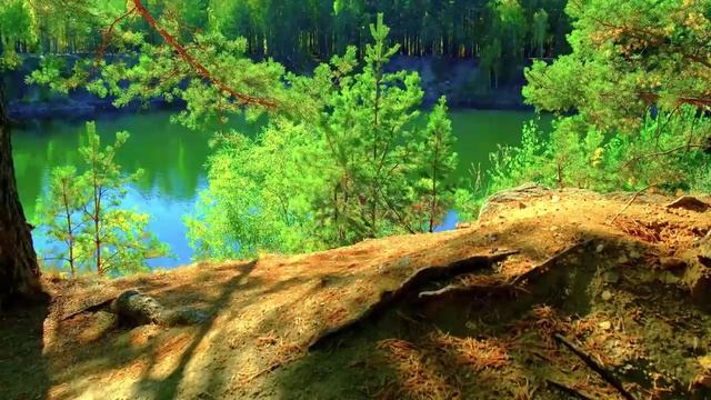 Любовь к себе. Уверенность в себе. Самопринятие. Самоуважение. Скрытые аффирмации. Саблиминал.