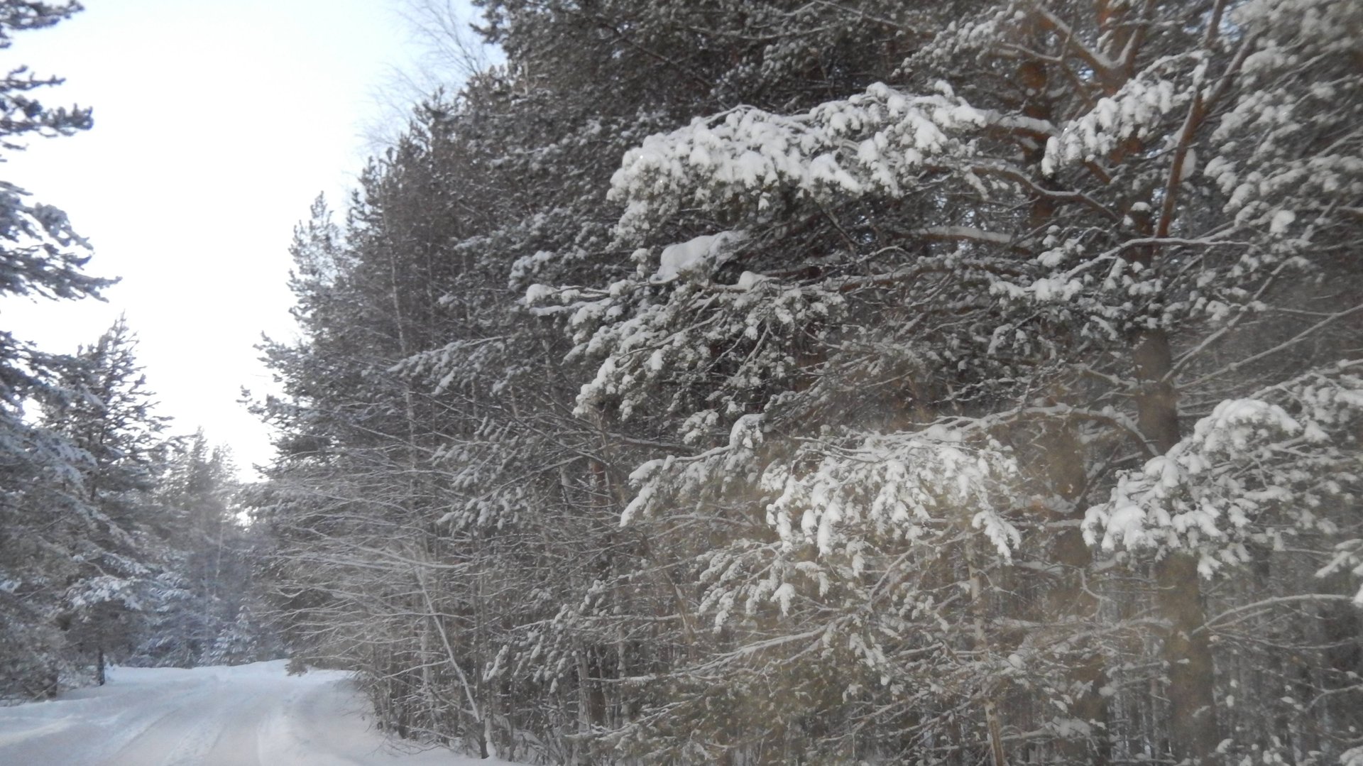 Послушайте красивую песню.. Исп. Иракли - Ты одна из семи миллиардов людей..