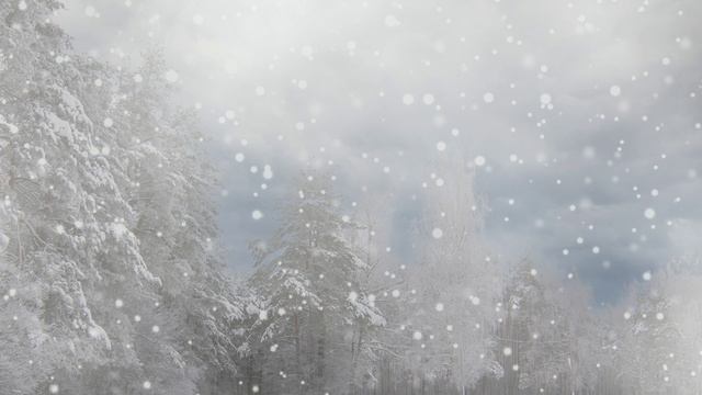 Футаж. Зимний пейзаж 132