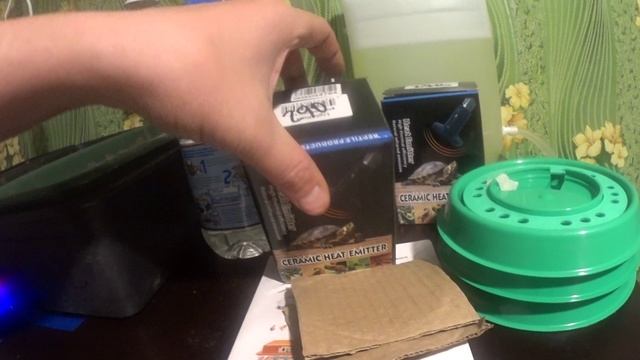 Перепелятам 7 дней