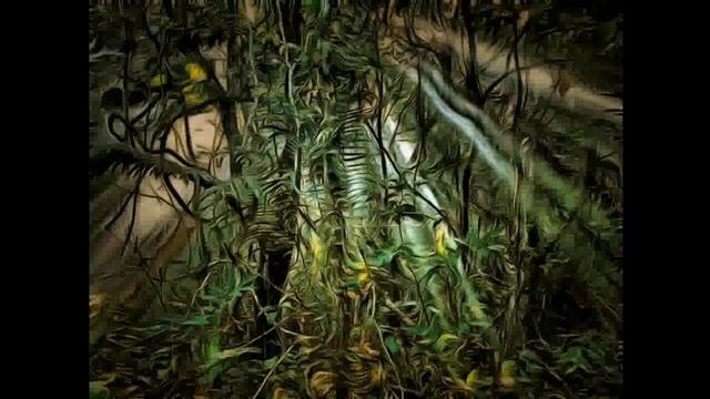 Сюрреализм реального мира Юрия Жеребцова фильм 2.Продажа картин