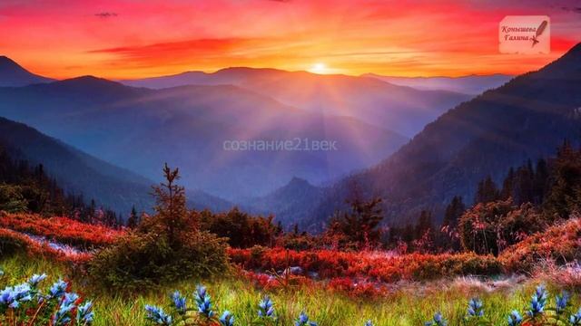 Как настроить связь с Безмолвным знанием?