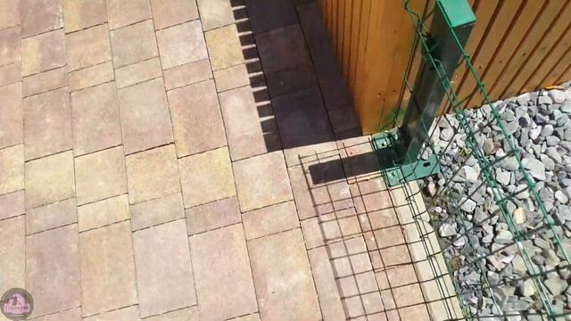 Новости Губернии. Выпуск #1