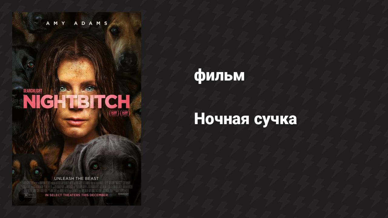 Ночная сучка (фильм, 2024)