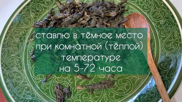 Ферментирование Иван-чая. Капорский чай