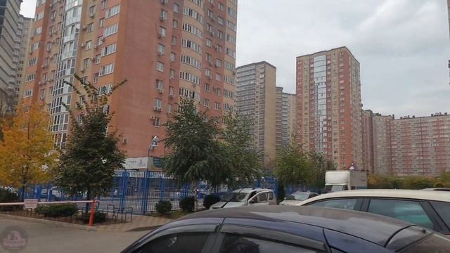 Новости Губернии выпуск #19