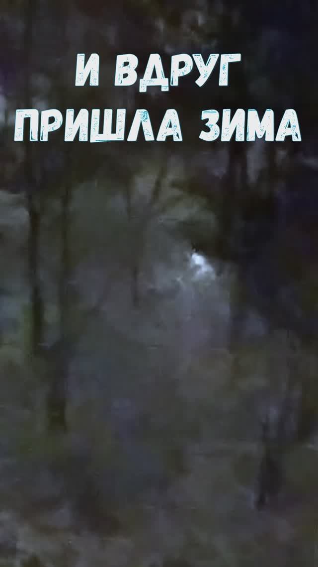 И вдруг пришла зима