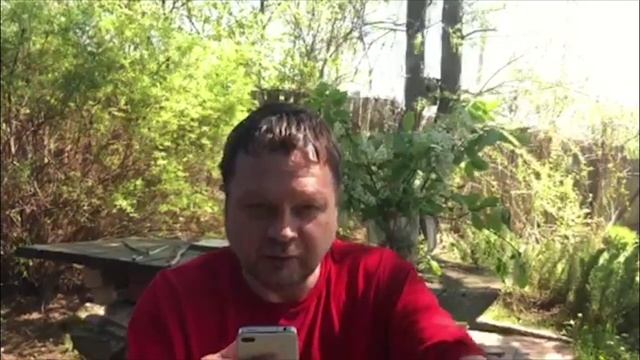 Вадим Степанцов | Черемуховый рондель