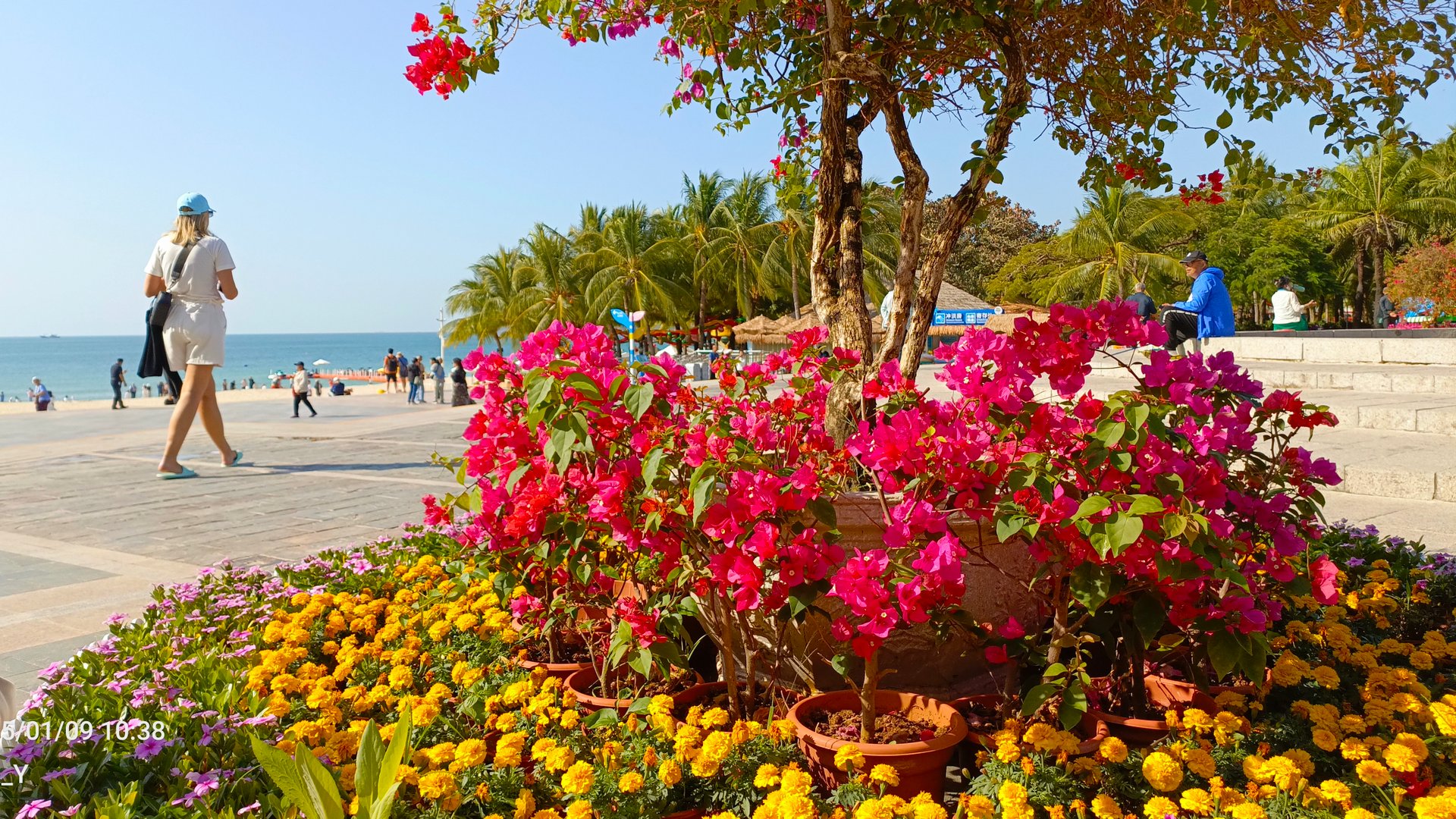 Набережная Дадунхая днем 09.01.25