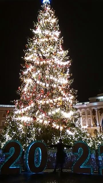 Новогодние красавицы Петербурга