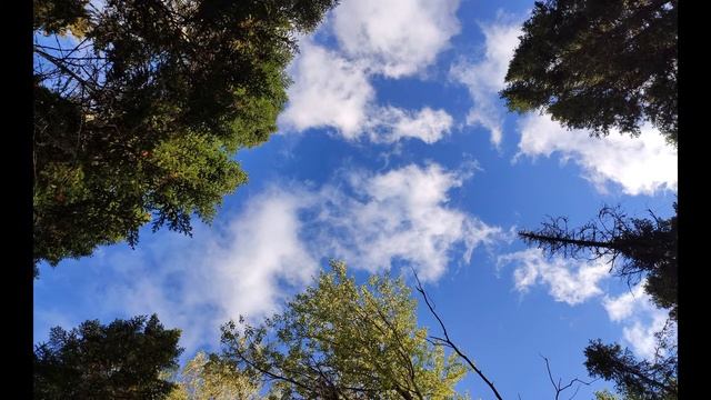 О Мандельштам  Дано мне тело -  что мне делать с ним #философскаялирика #поэтыCеребряноговека